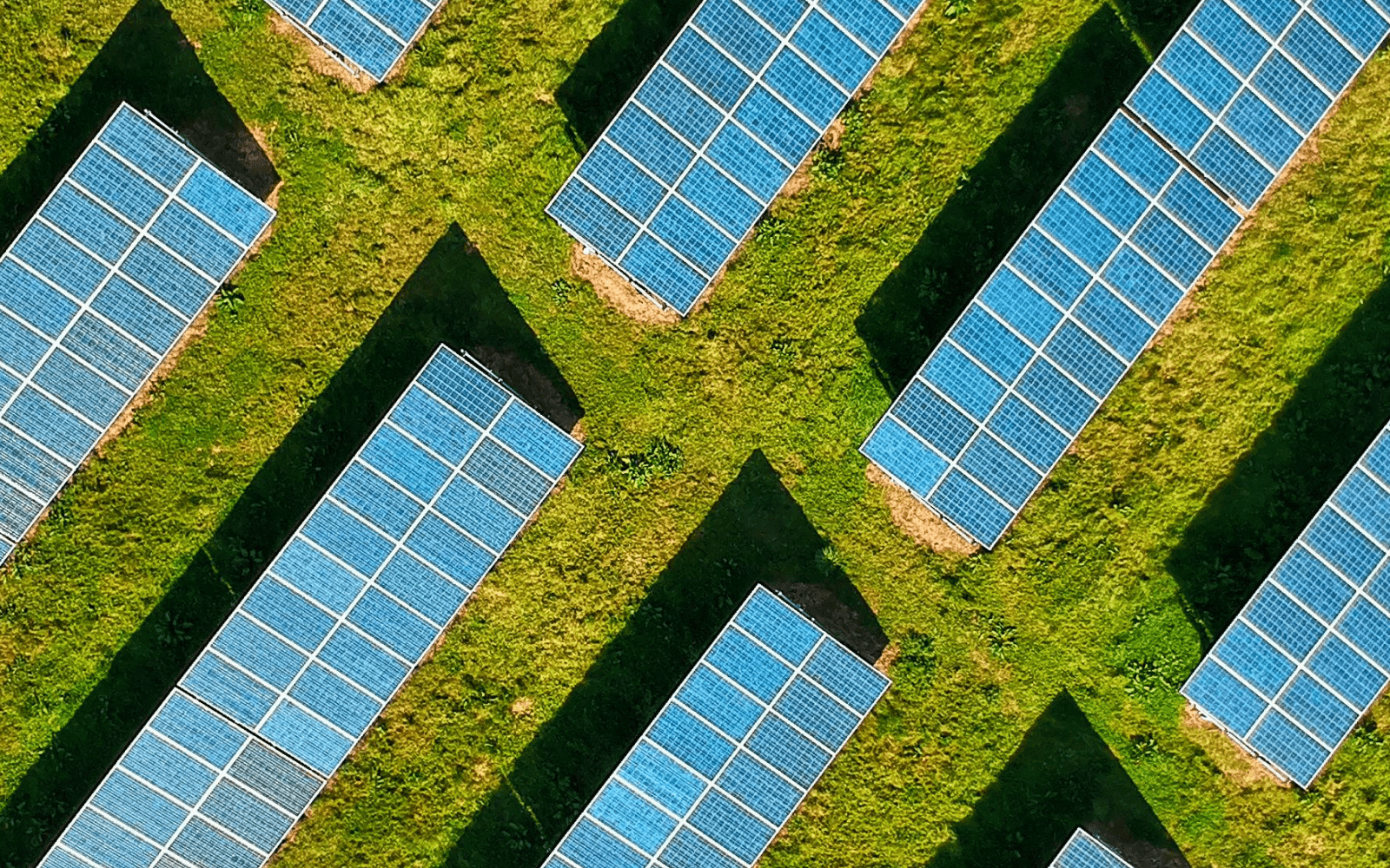 Transport Management System | CtrlChain